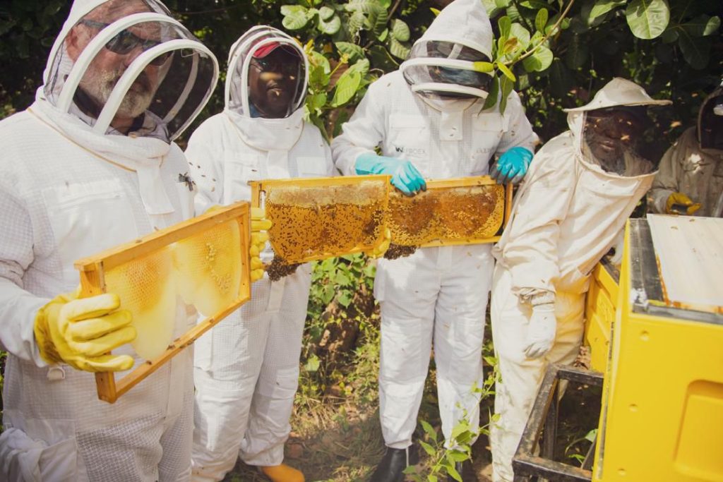 WAFROEX–FUNAAB Beekeeping Training 2.0: VC Leads Trainees Through ...